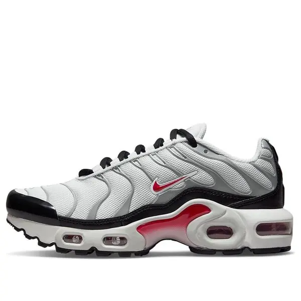 Nike Max Plus Sneakers - Grey/red