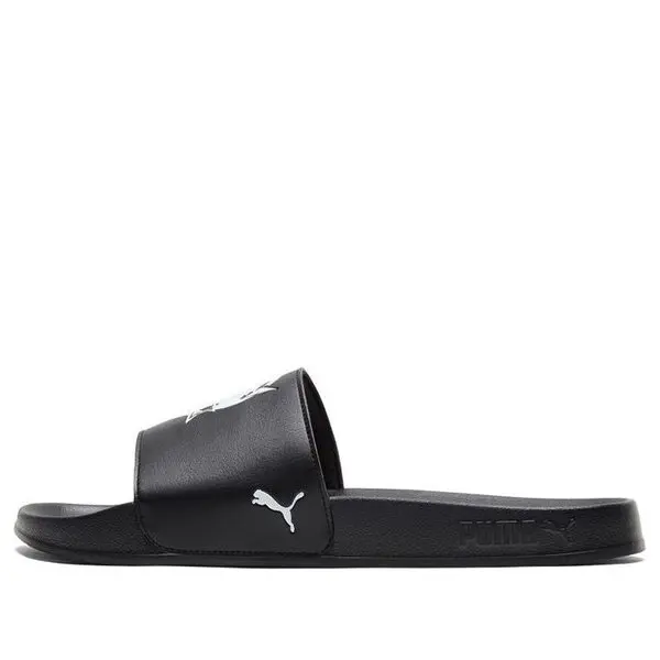 PUMA Leadcat 2.0 Slides