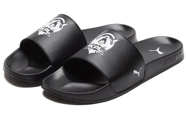 PUMA Leadcat 2.0 Slides