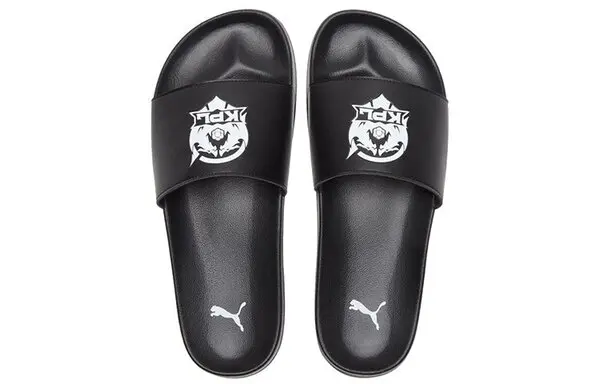 PUMA Leadcat 2.0 Slides