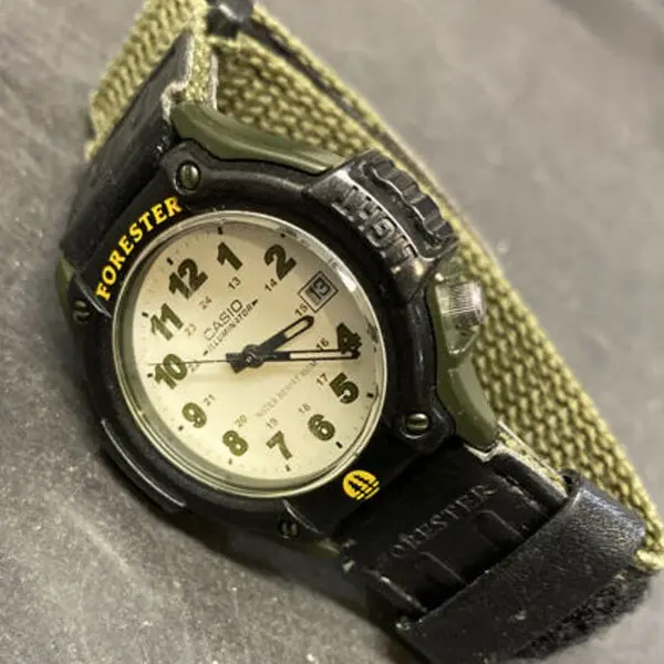 Casio Forester Analog Watch