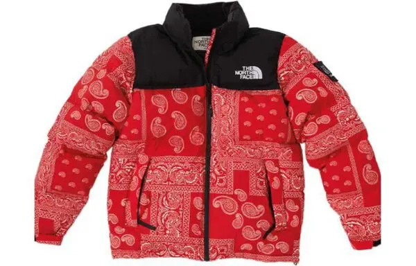 The North Face Nuptse Bandana Print Down Jacket