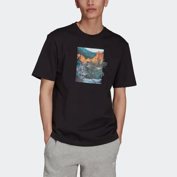 Adidas Adventure Landscape Graphic Tee