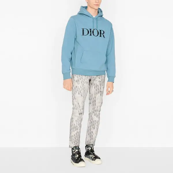 Dior X Peter Doig Crossover Hoodie