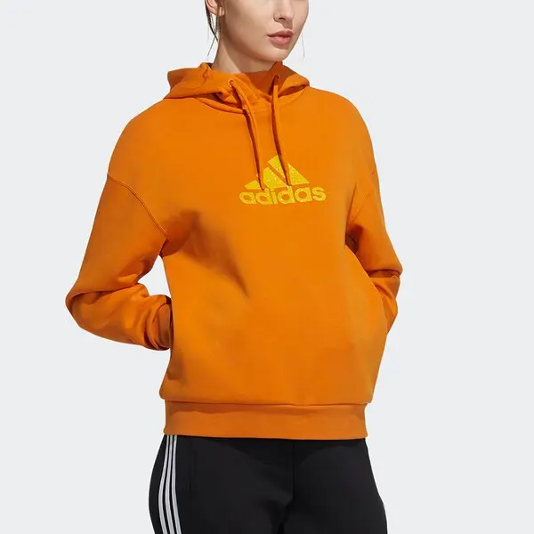 Adidas Hooded Logo Sweatshirt