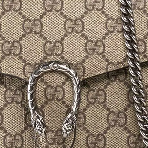 Gucci Dionysus Series Chain Bag - Brown