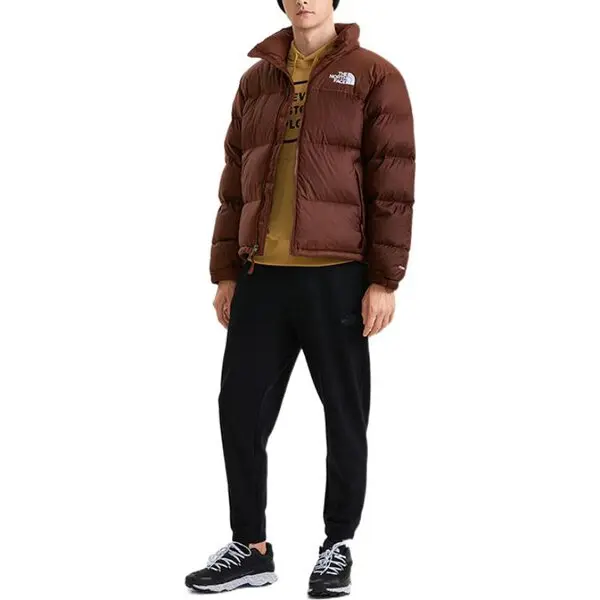 The North Face Fw22 1996 Retro Nuptse Jacket With Icon Logo - Brown