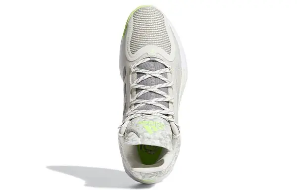 Adidas D Rose "vet-tix" Fv8930 - Grey/green