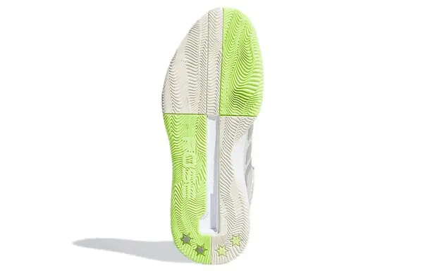 Adidas D Rose "vet-tix" Fv8930 - Grey/green
