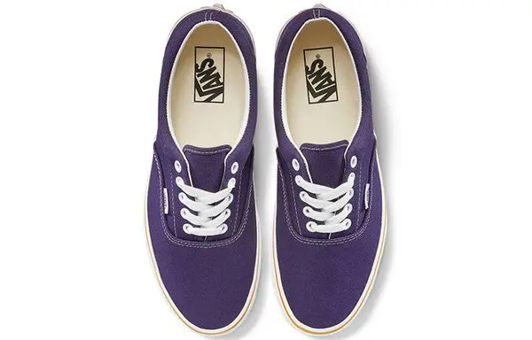 VANS Foam Era 2019-20aw Sneakers