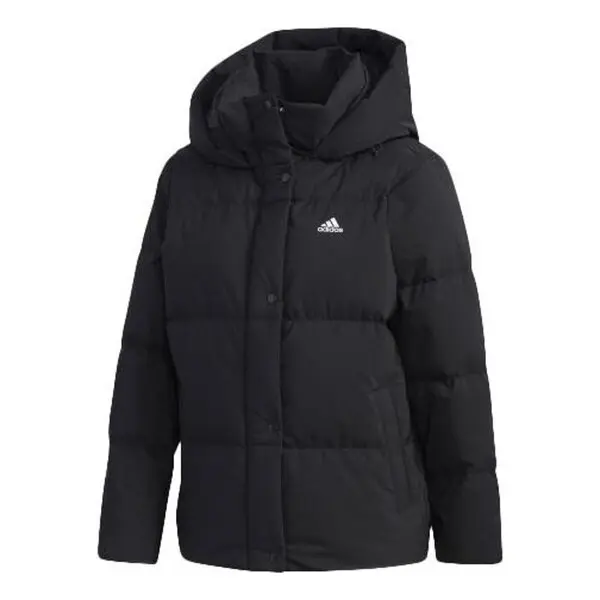 Adidas Padded Hooded Down Jacket With Logo - Black