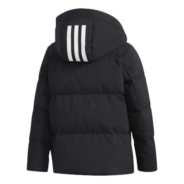 Adidas Padded Hooded Down Jacket With Logo