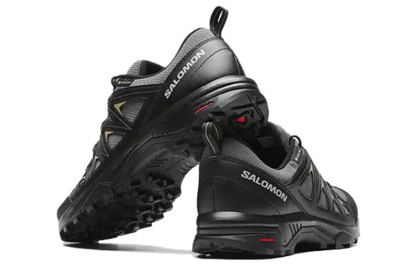 SALOMON X Braze Gtx