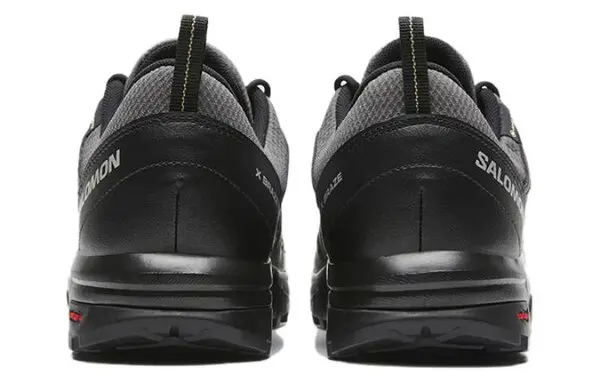 SALOMON X Braze Gtx