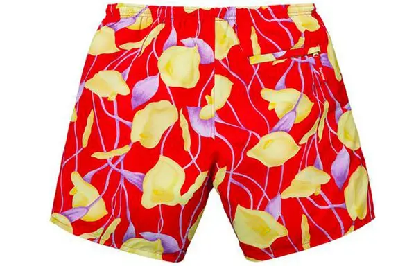 Supreme Ss18 Nylon Water Short