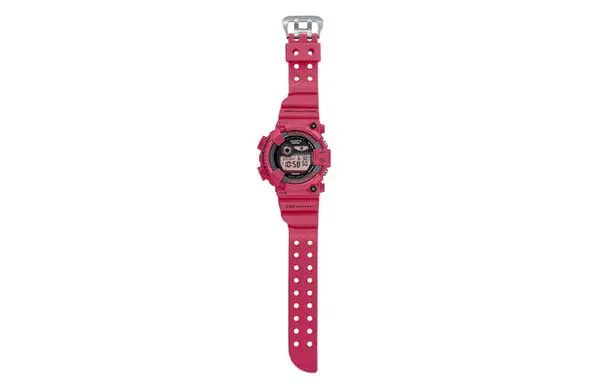 Casio Frogman Diver's Watch