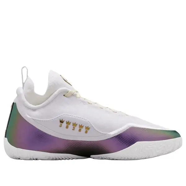 Nike Lebron Elite "for The Record" Sneakers