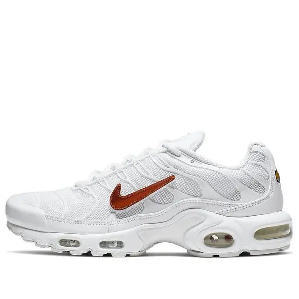 Nike Max Plus Sneakers