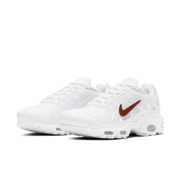 Nike Max Plus Sneakers