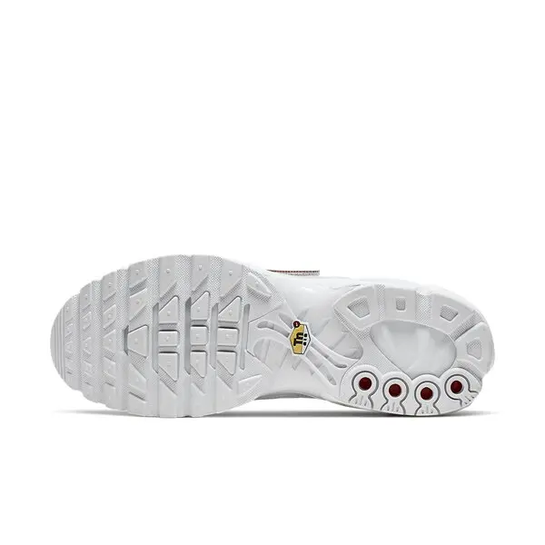 Nike Max Plus Sneakers