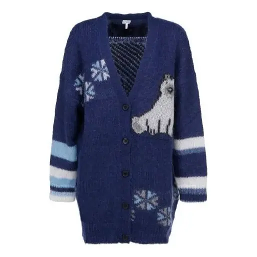 Loewe Ss21 Large Multi-color Cardigan