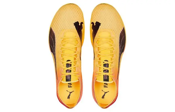 PUMA Evospeed Distance Track Spikes