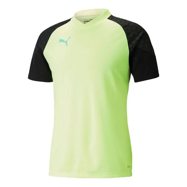 PUMA Individualcup Training Jersey - Green/black