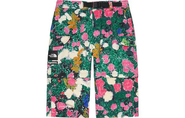 Supreme X The North Face Rekking Zip-off Belted Pants - Multi-color
