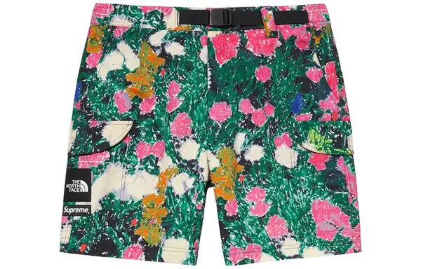 Supreme X The North Face Rekking Zip-off Belted Pants - Multi-color