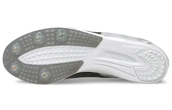 PUMA Evospeed Sport Shoes
