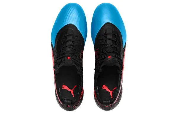 PUMA One 19.1 Fg Ag