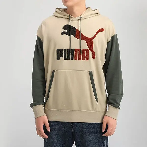 PUMA Colorblock Hooded Sweatshirt