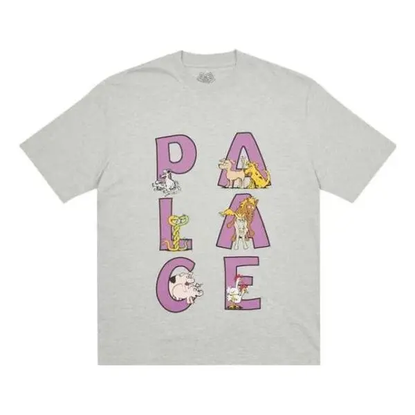 PALACE Fw22 Session T-shirt - Grey