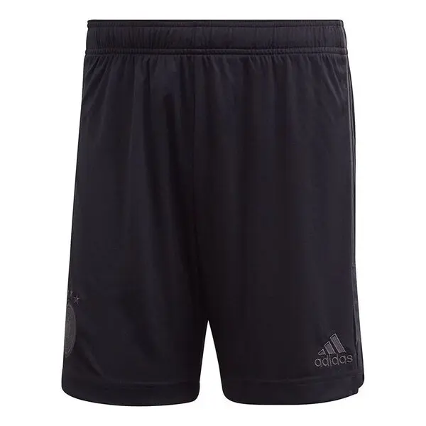Adidas Dfb Training Shorts - Black