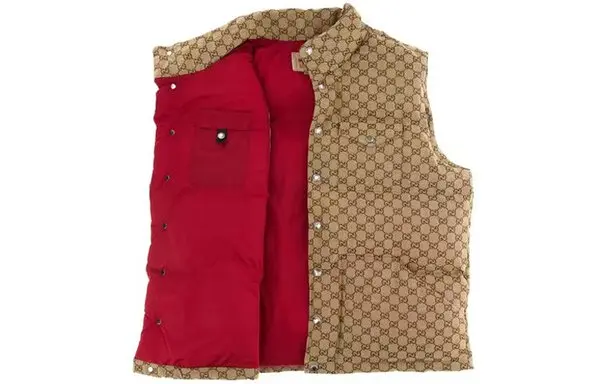Gucci X The North Face Down Vest