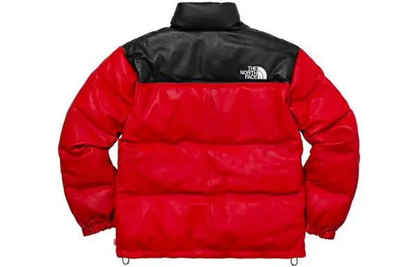 Supreme Fw17 X The North Face Leather Nuptse Jacket - Red