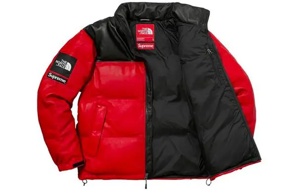 Supreme Fw17 X The North Face Leather Nuptse Jacket - Red