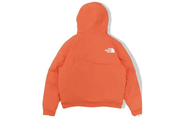 The North Face Down Jacket