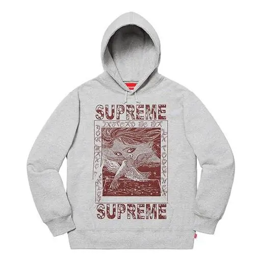 Supreme Doves Hooded Sweatshirt - Grey