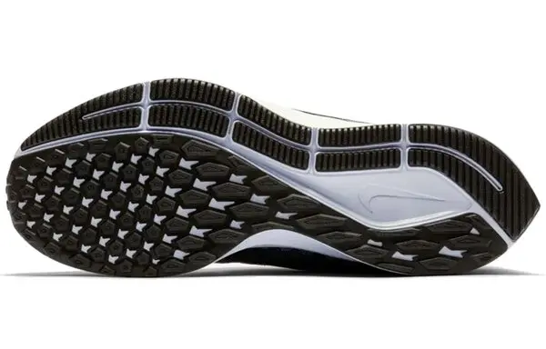 Nike Zoom Pegasus 36 Prm Rise Sneakers - Silver/white