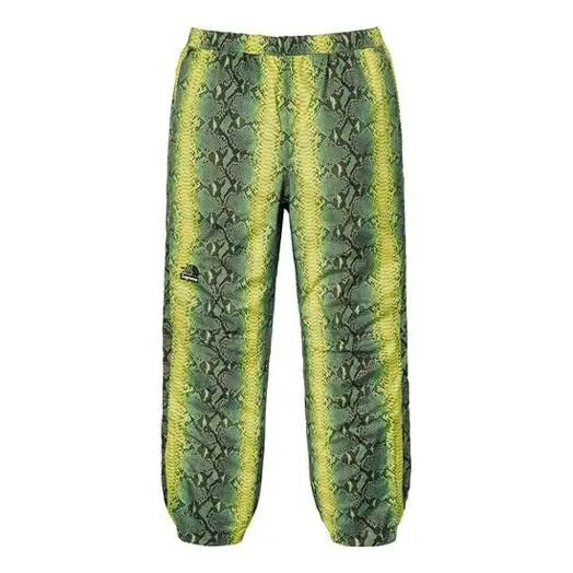 Supreme The North Face Snakeskin Taped Seam Pant - Green