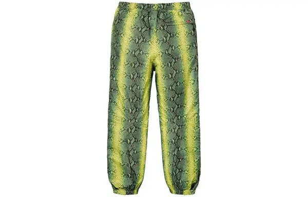 Supreme The North Face Snakeskin Taped Seam Pant