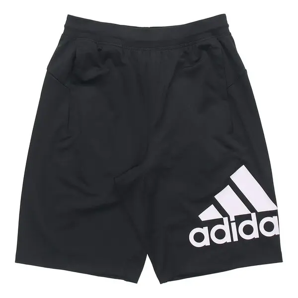Adidas Sports Slogan Knitted Shorts - Black