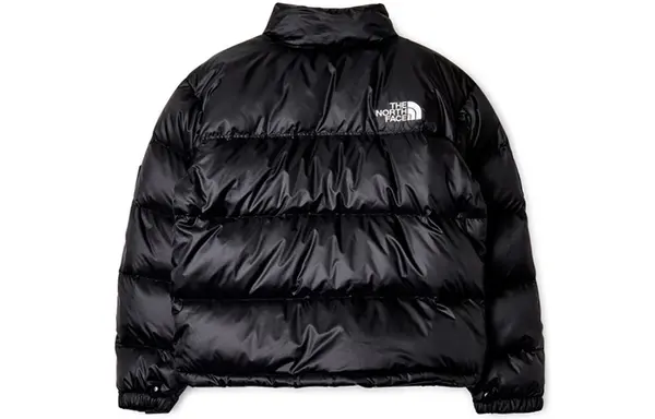 The North Face X Dsm Nuptse Puffer Jacket