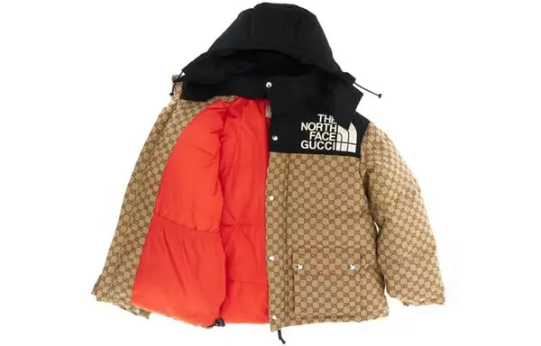 Gucci X The North Face Gg Monogram Padded Coat