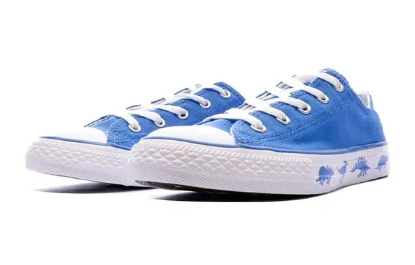 CONVERSE Chuck Taylor All Star Canvas Low Top Sneakers