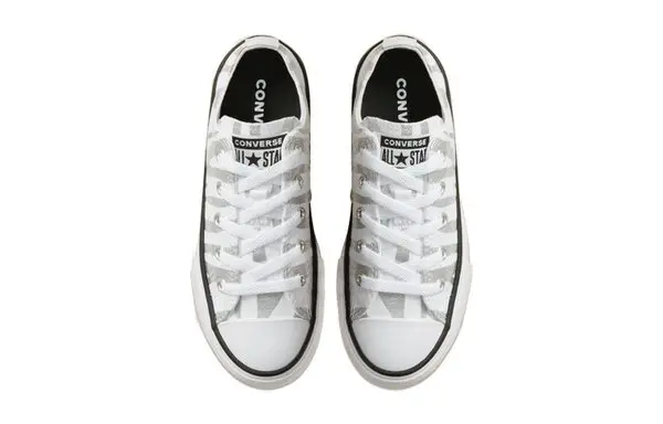 CONVERSE Chuck Taylor All Star "archive Zebra - Silver/white