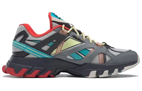 REEBOK Dmx Trail Shadow Fv2844 Sneakers - Grey/blue
