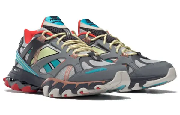 REEBOK Dmx Trail Shadow Fv2844 Sneakers - Grey/blue