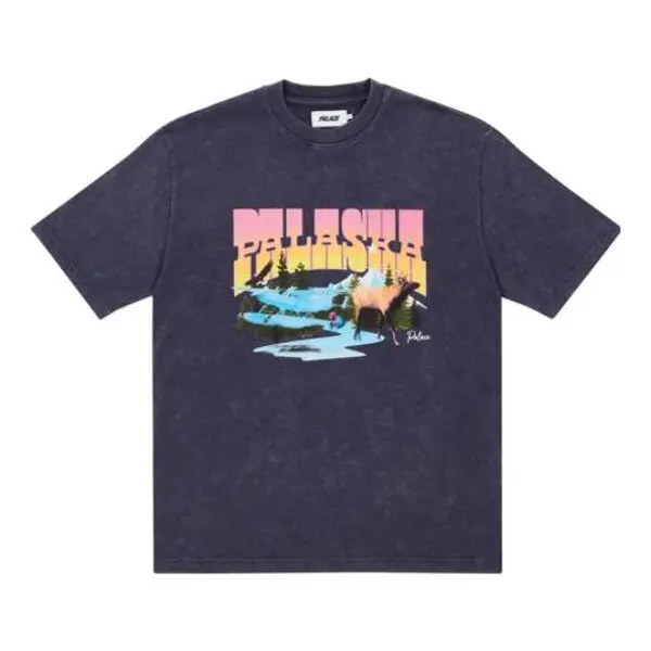 PALACE Ss22 Palaska Dye T-shirt - Purple